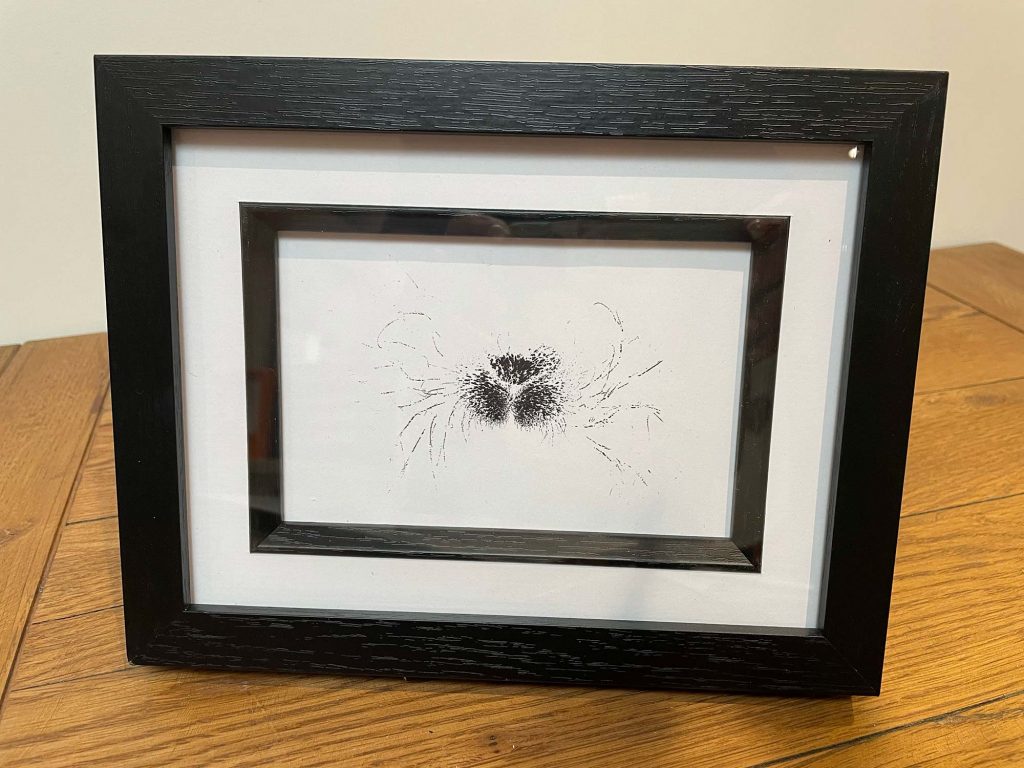 Paw and nose prints | The Meadows Pet Crematorium